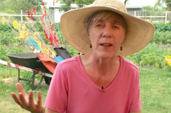 Reversing extinction rates, one seed at a time - SeedChange : SeedChange