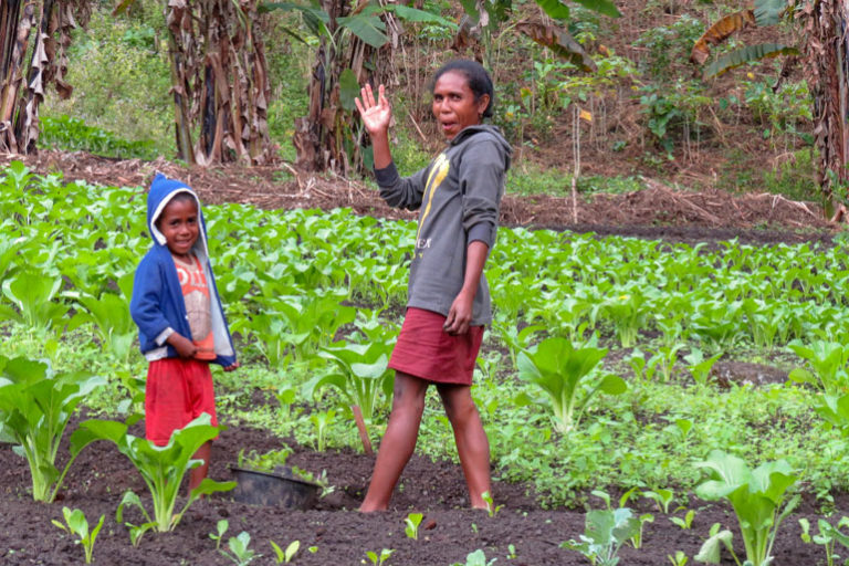 Participatory land use planning: Strengthening community-based ...