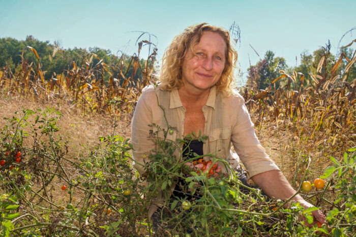 A Canadian seed farmer reflects on the pandemic - SeedChange : SeedChange