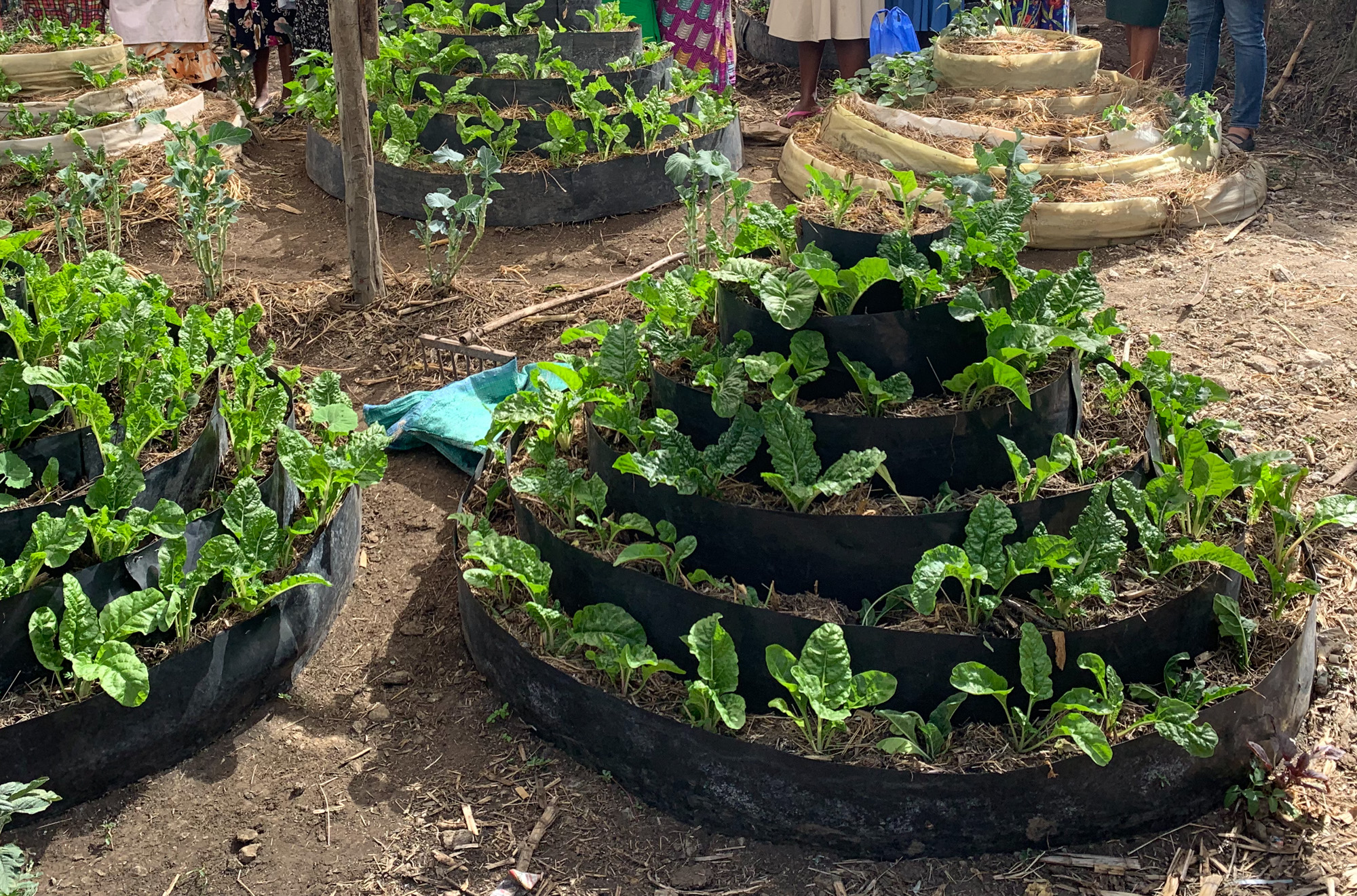 Rural Women Cultivating Change - SeedChange : SeedChange